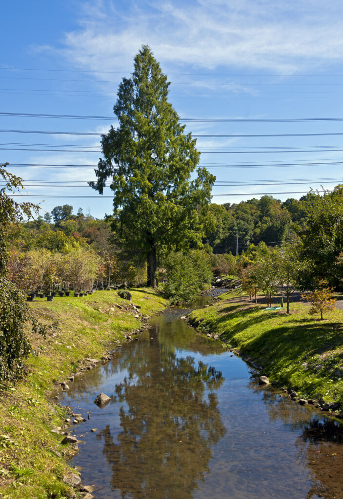 The Saw Mill River: A History of Mills, Industry, and Renewal – The ...